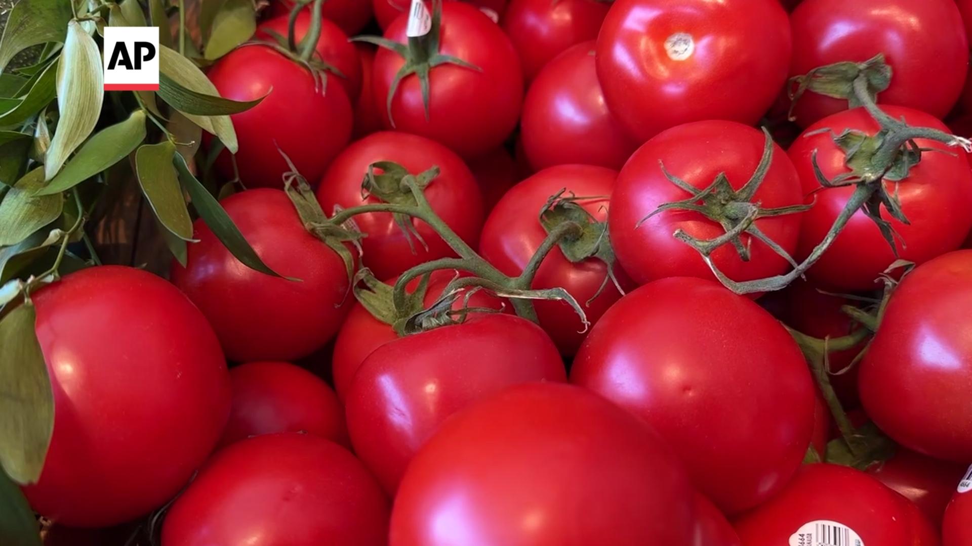 US tomato prices are up 40%, the latest symbol of America’s ...