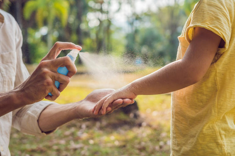 Common insect repellent now attracts mosquitoes — signaling a 'blood ...