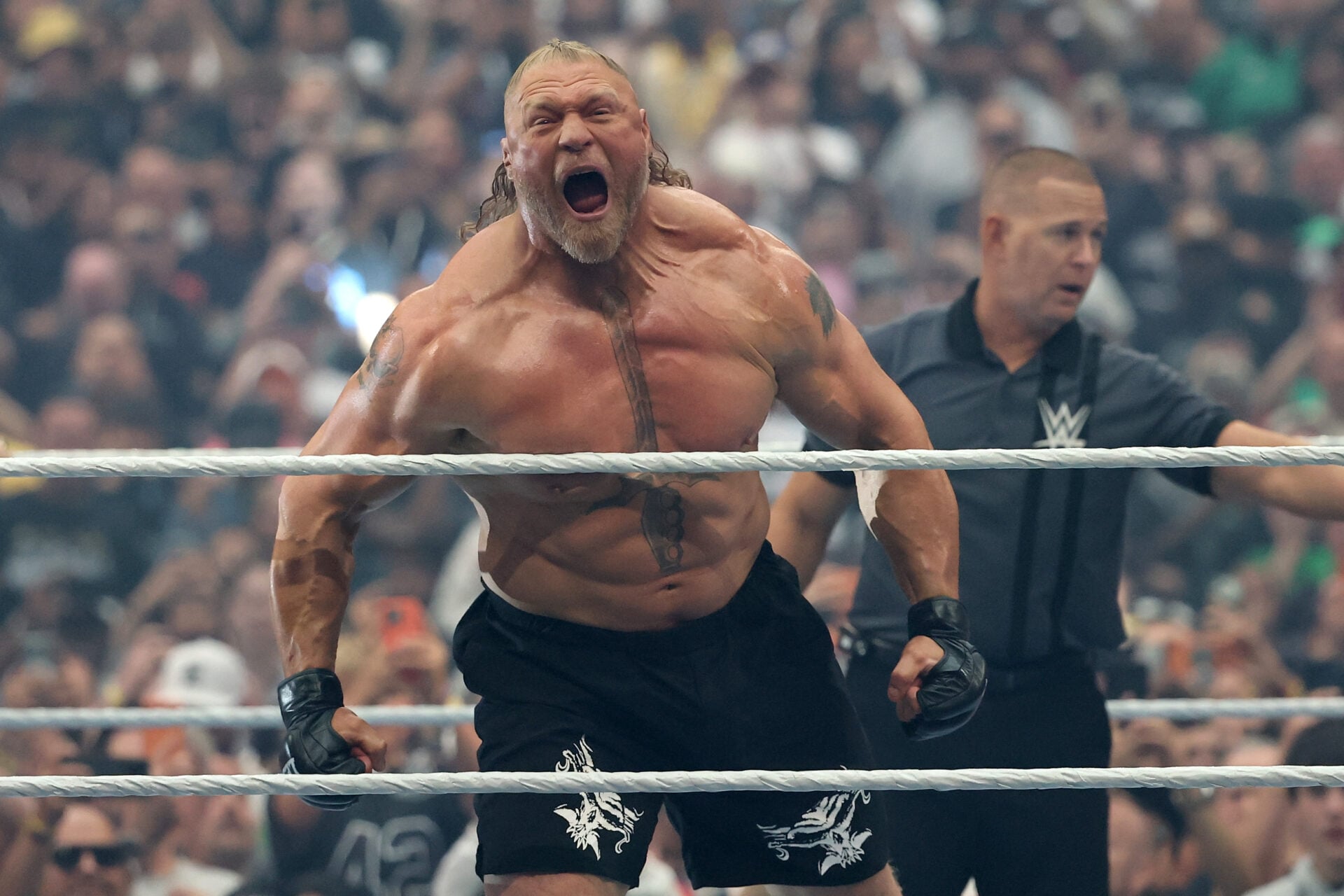 Brock Lesnar’s WWE plans after Clash in Italy revealed
