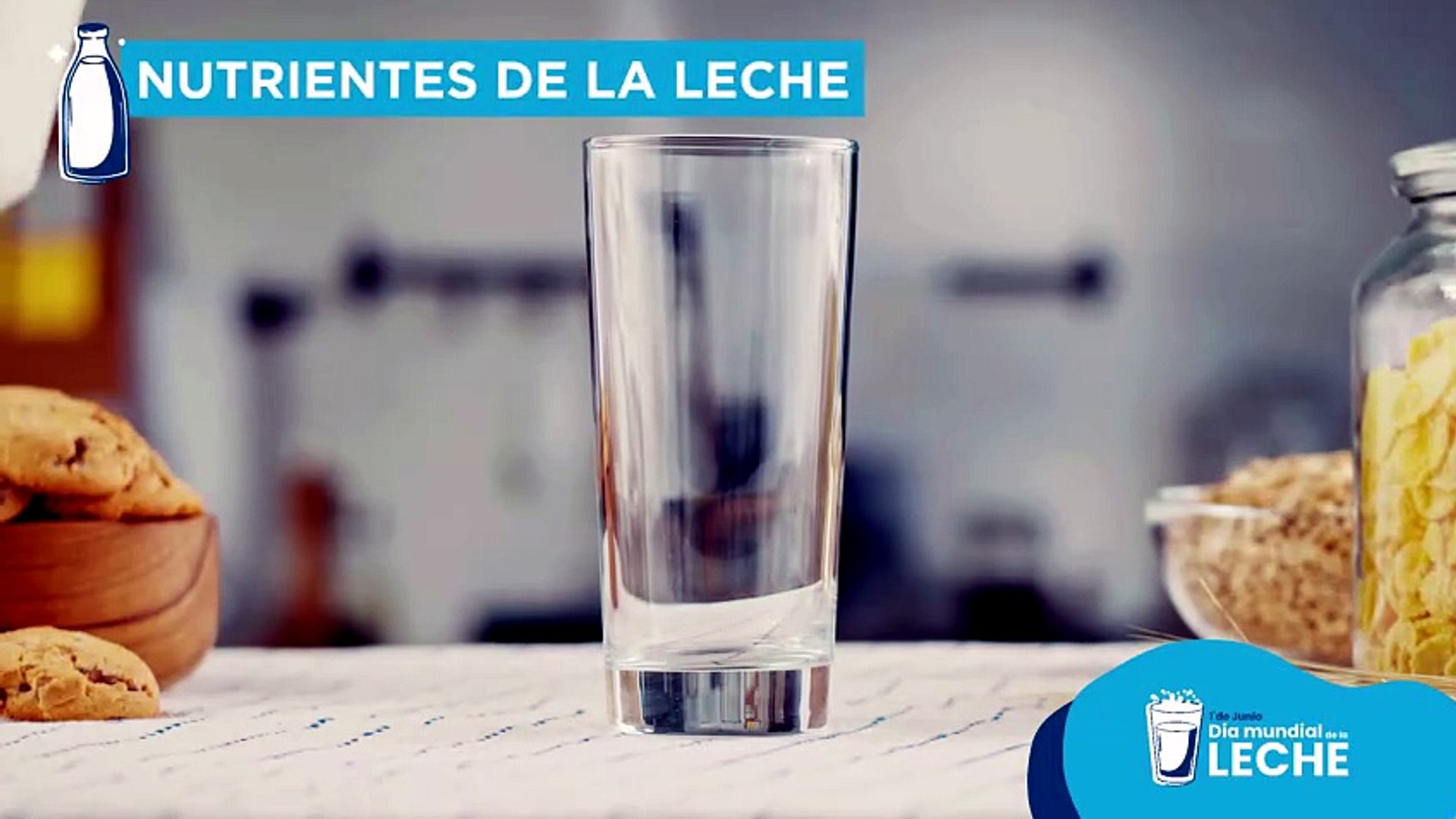 Día Mundial de la Leche: por qué es tan importante en todas las etapas ...
