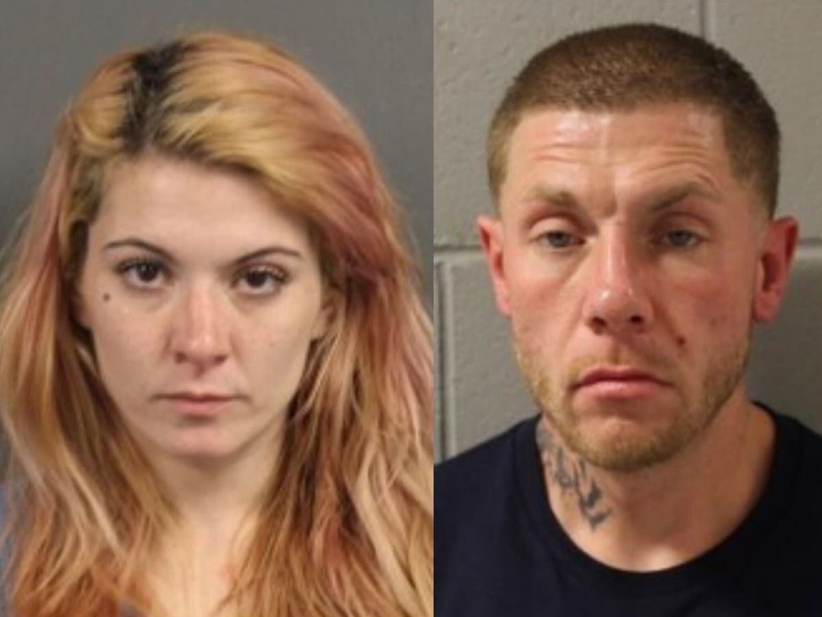 Jackson residents stole power tools, punched employee at Clark Hardware ...