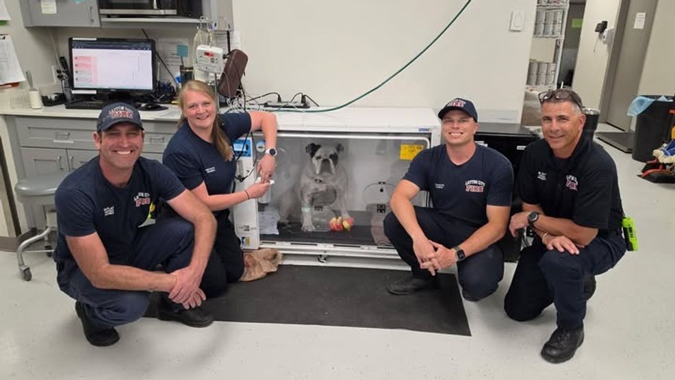 Dog survives Layton house fire after rescue by firefighters