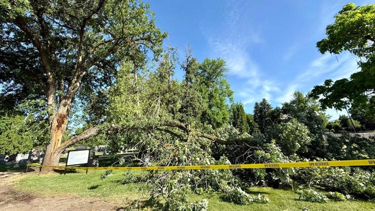 Boise's Community Forestry team responds to tree damage following storm