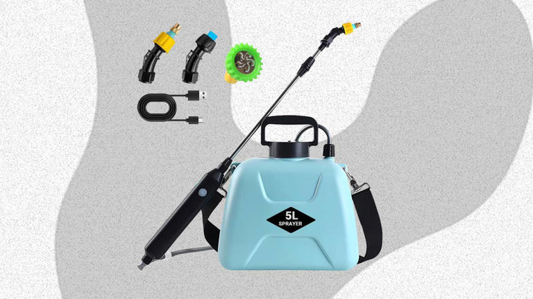 Discover the $30 electric sprayer that makes weeding effortless this summer
