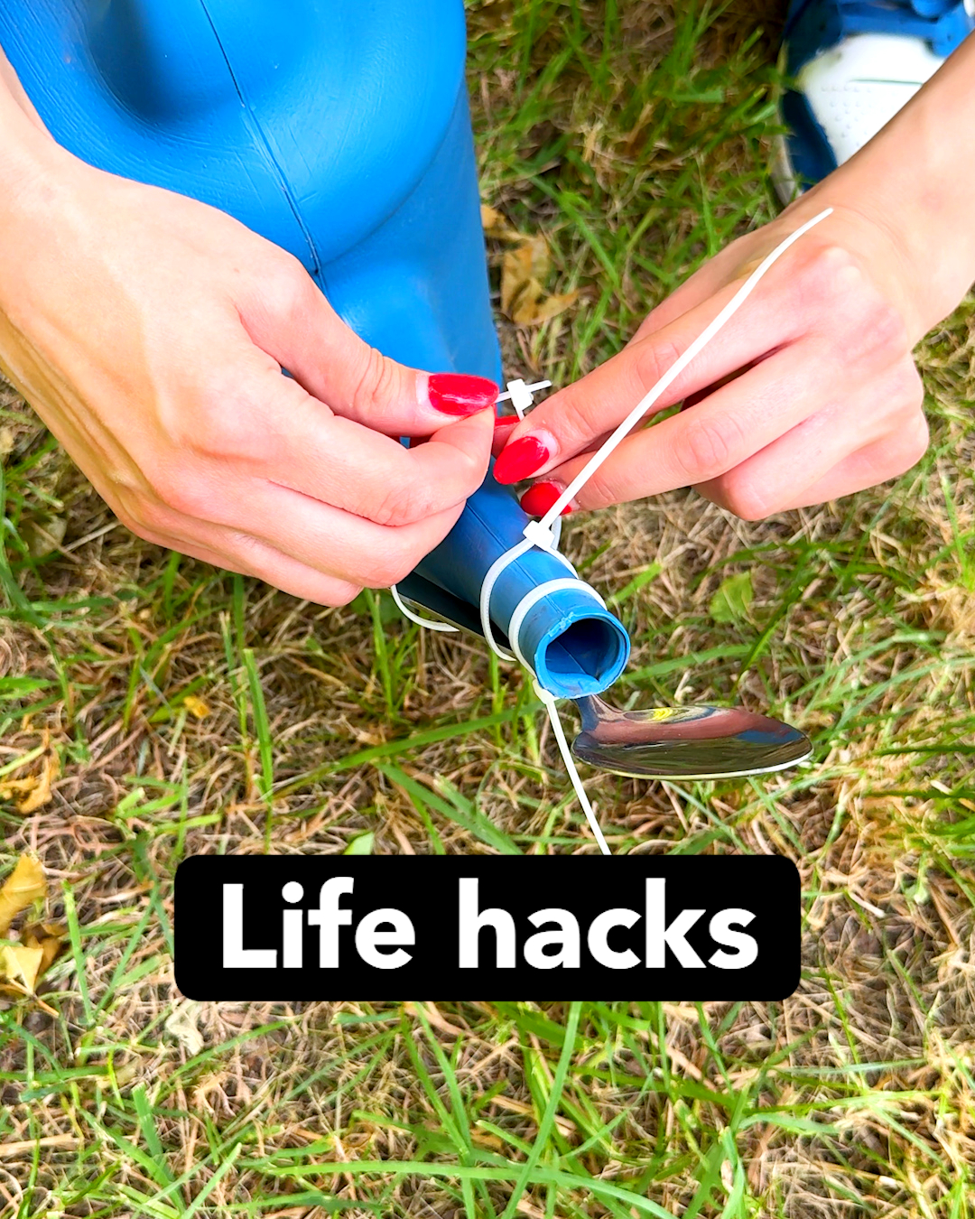 Super fun and easy plant watering tip using a spoon! 🤯🪴
