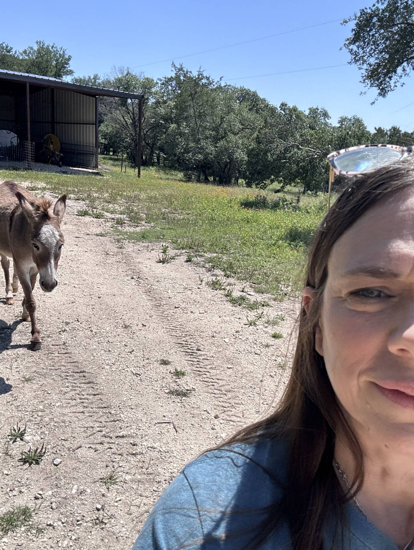 Electrician arrives for routine inspection — and makes an unexpected friend