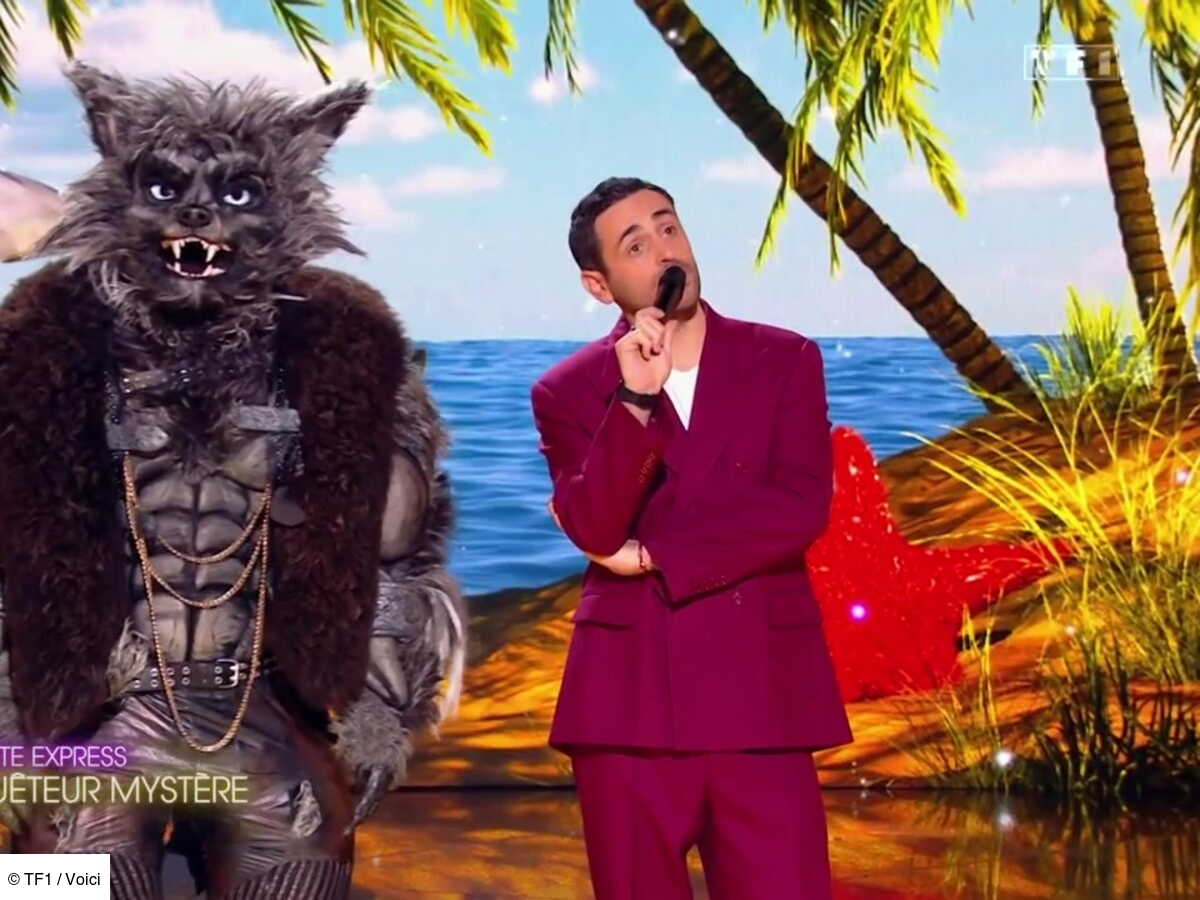 Mask Singer : découvrez quel enquêteur mystère se cachait sous le ...