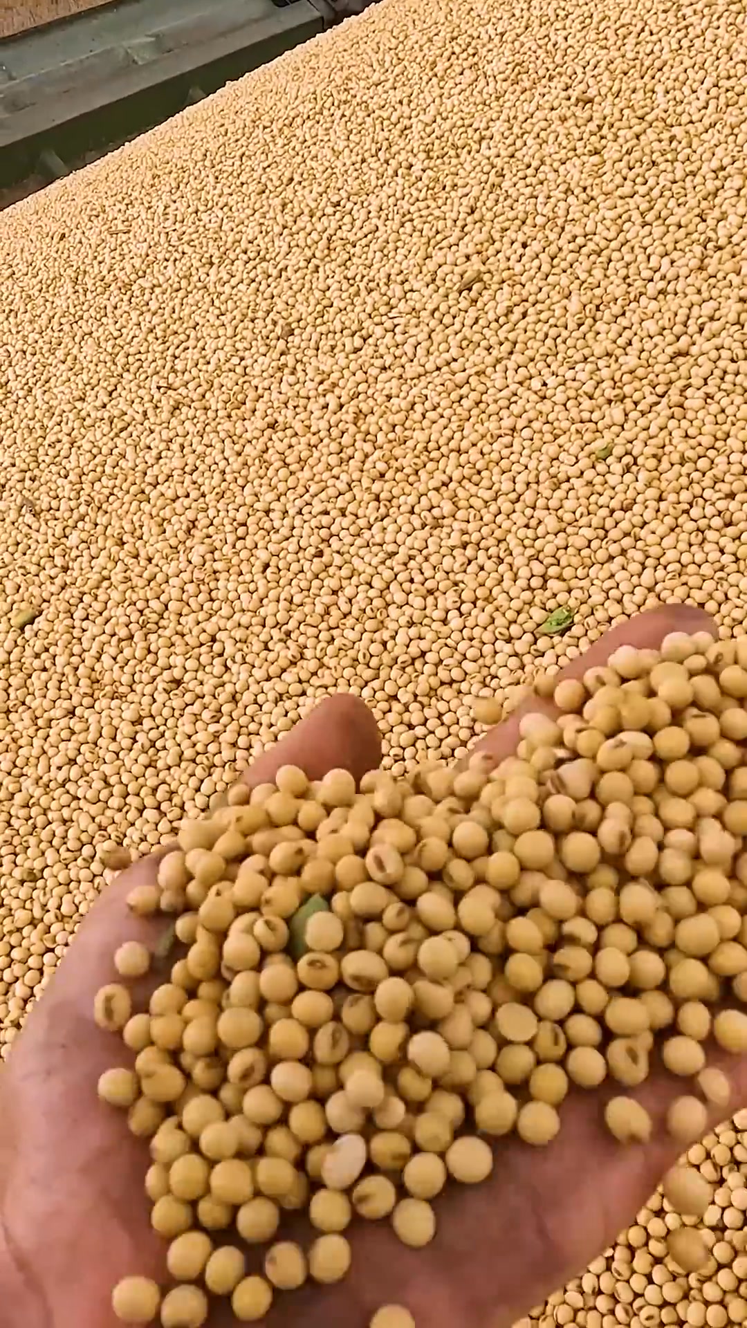 Why farming keeps me going
