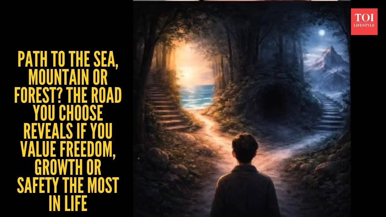 Personality test: Path to the sea, mountain or forest? The road you ...
