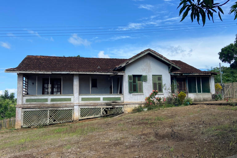 Abandoned city 'Fordlandia' set to be restored decades after downfall