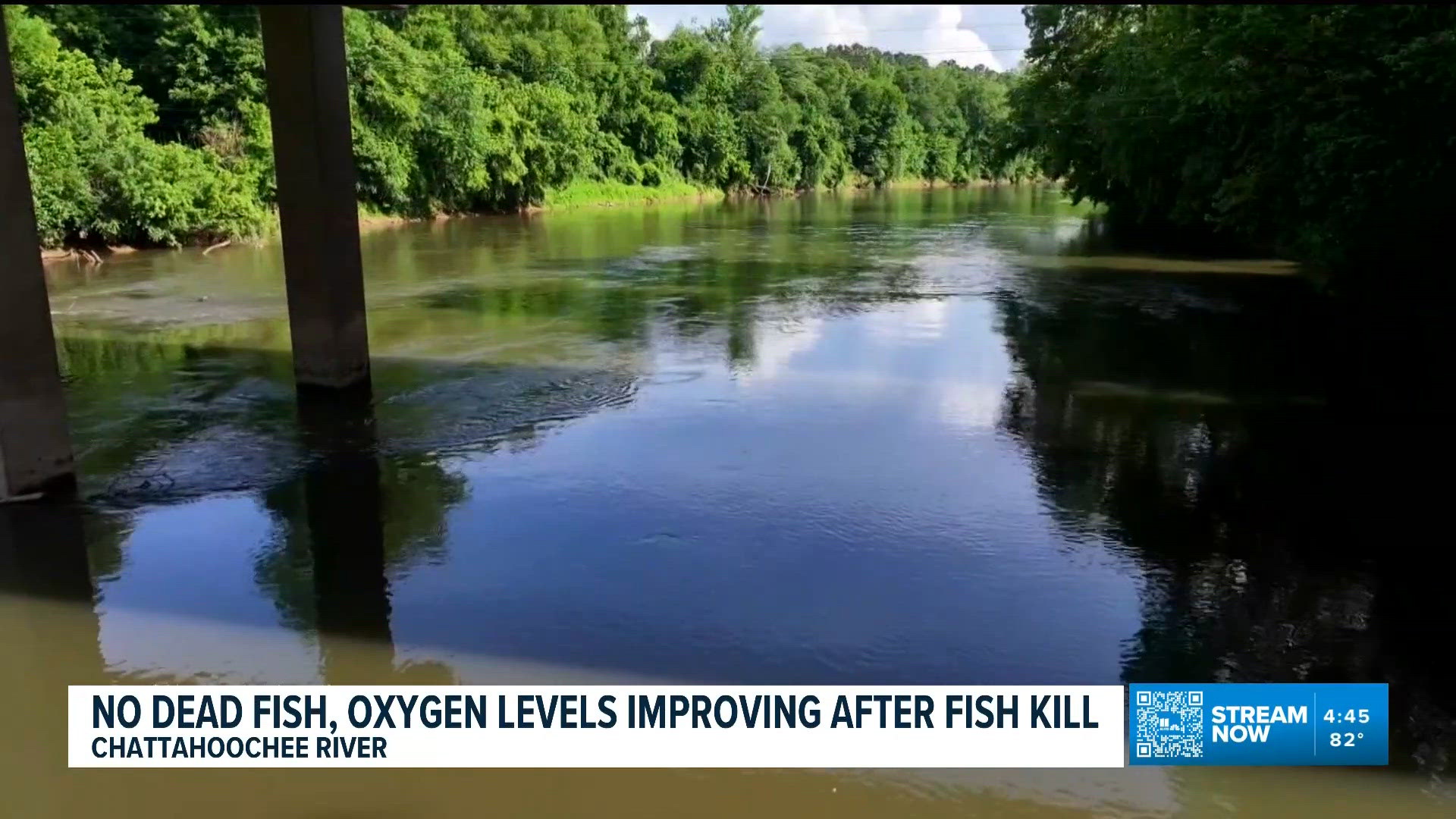 Riverkeeper no longer seeing dead fish after massive fish kill incident ...