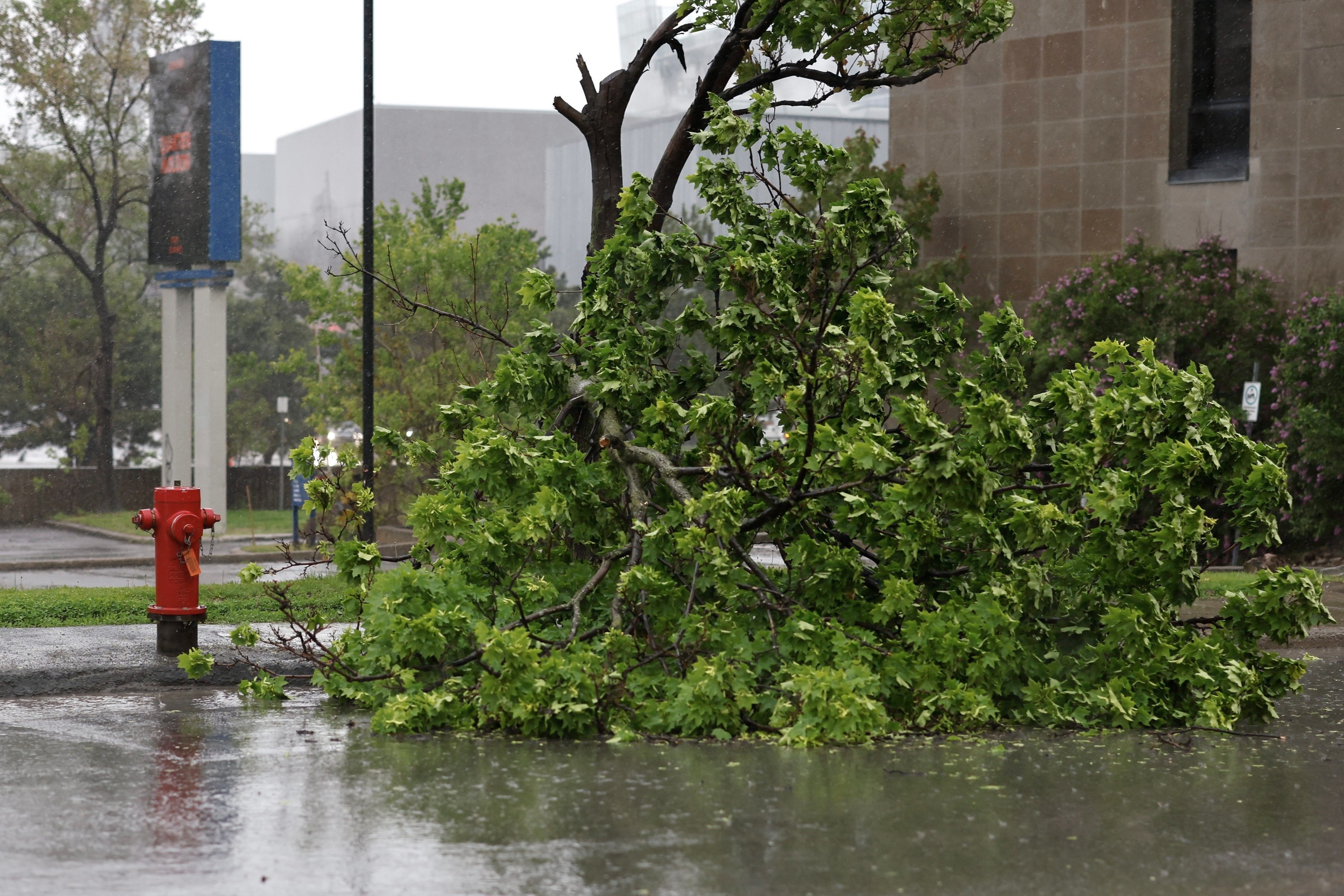 Update: Severe thunderstorm, high winds could knock out power, hamper ...