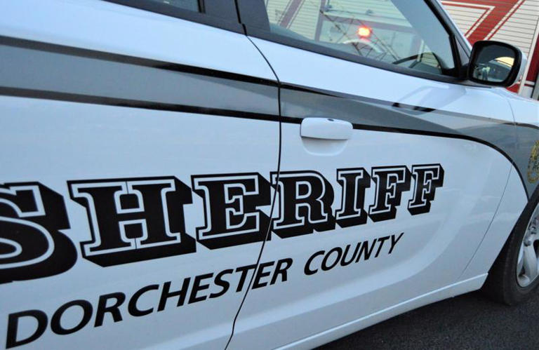 Dorchester County police dog bites person during training exercise ...