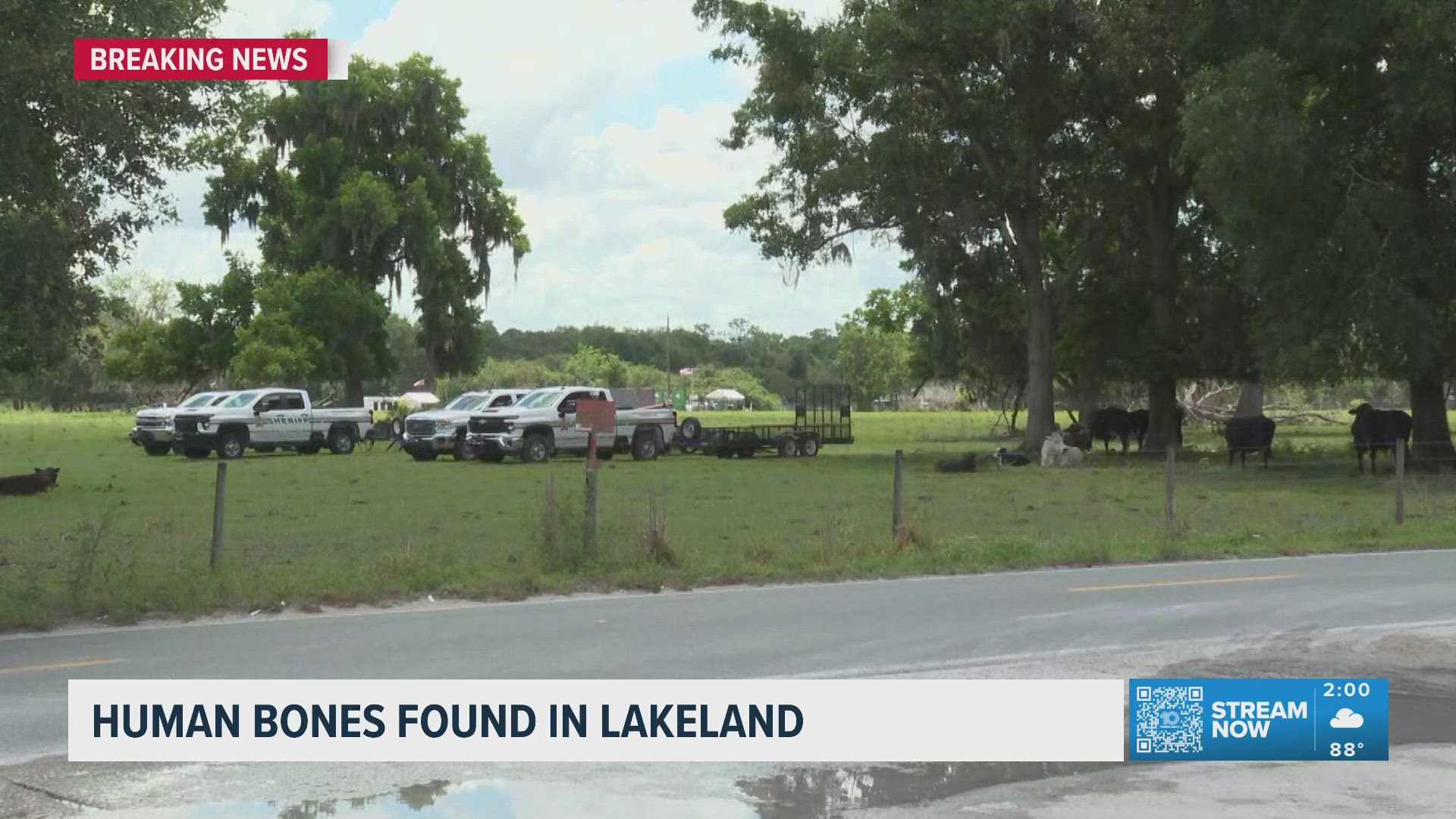 Kids find skull, other bones in Polk County cow field