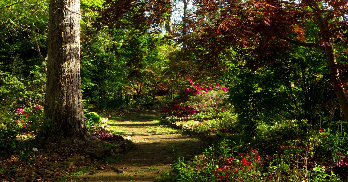 This hidden Oklahoma garden has thousands of beautiful plants