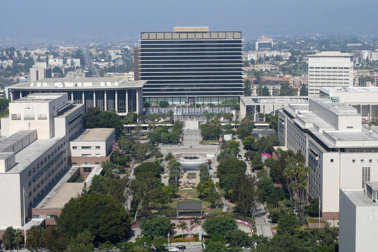 Radical plan to send in army of armed guards to fight out-of-control LA ...