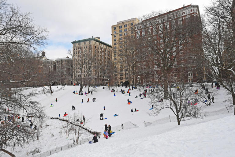 NYC taxpayers on the hook for shocking $375K tab — just to replace 2 ...