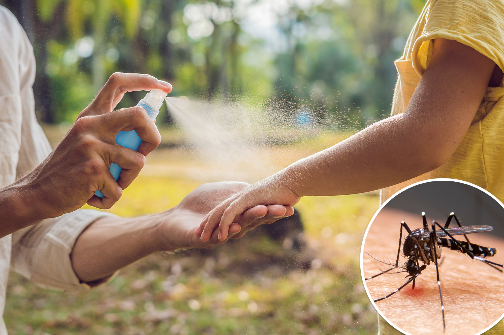 Common insect repellent now attracts mosquitoes — signaling a 'blood ...