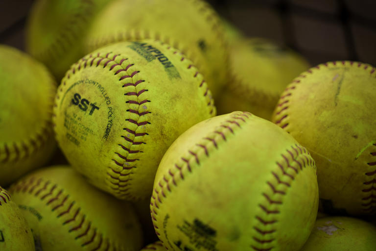 Waterloo tops unbeaten Wayland-Cohocton in Section V Class B1 softball