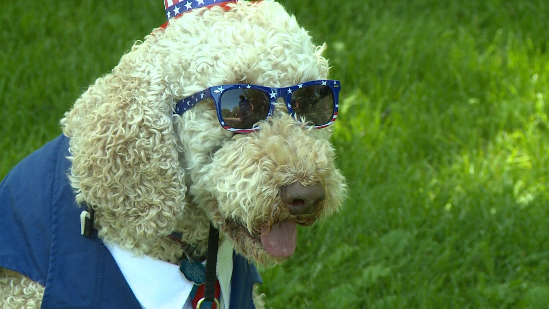 79th annual kid’s doll and pet parade set for May 30th in Eau Claire