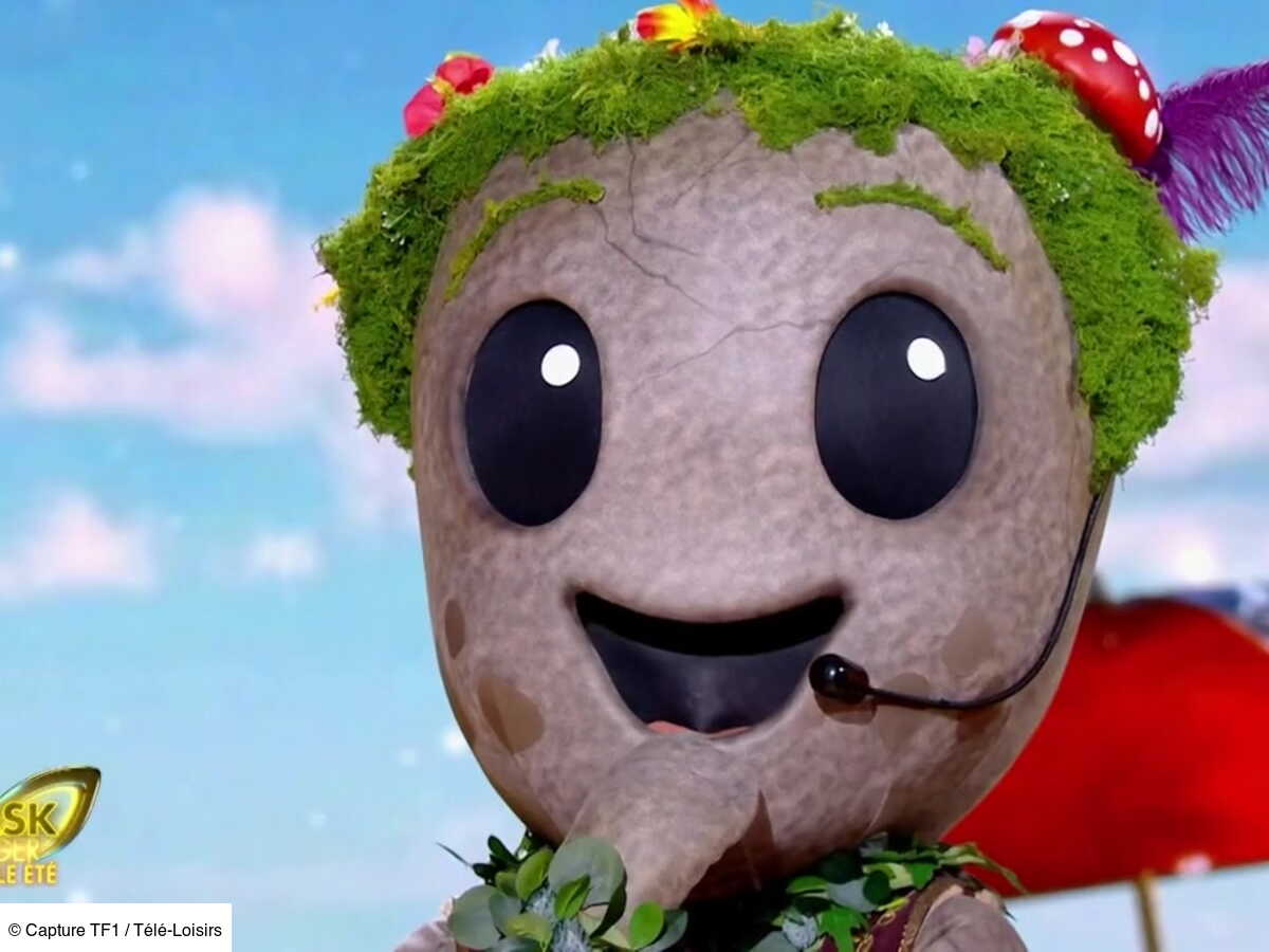 Mask Singer 2026 : Quelle célébrité se cache derrière le costume du ...