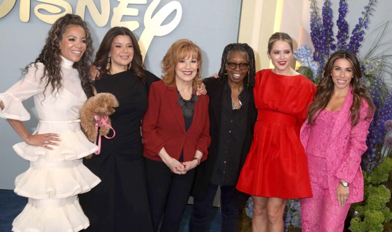 Joy Behar explains her 'hiatus' from 'The View'