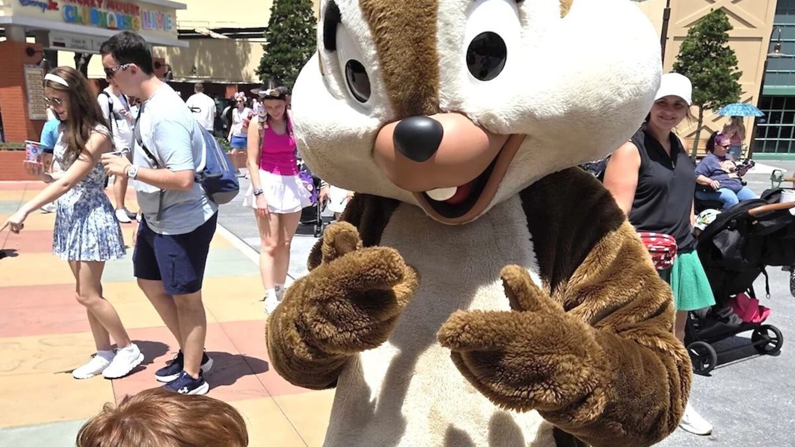 An inside look at Walt Disney World's new animation courtyard