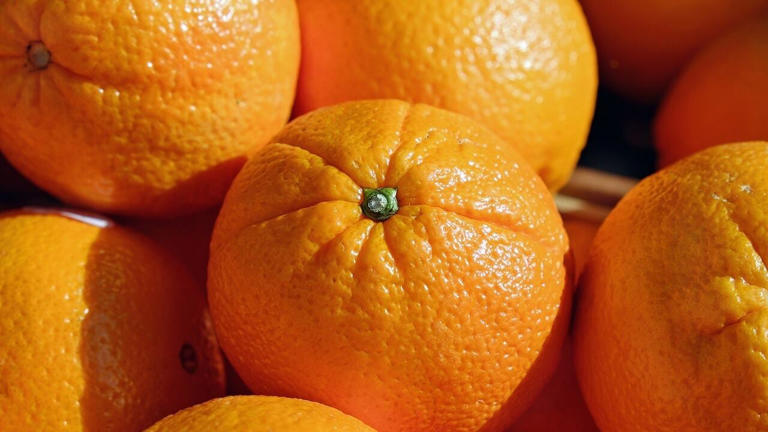 Florida’s citrus industry receives $196M to combat disease and storm damage