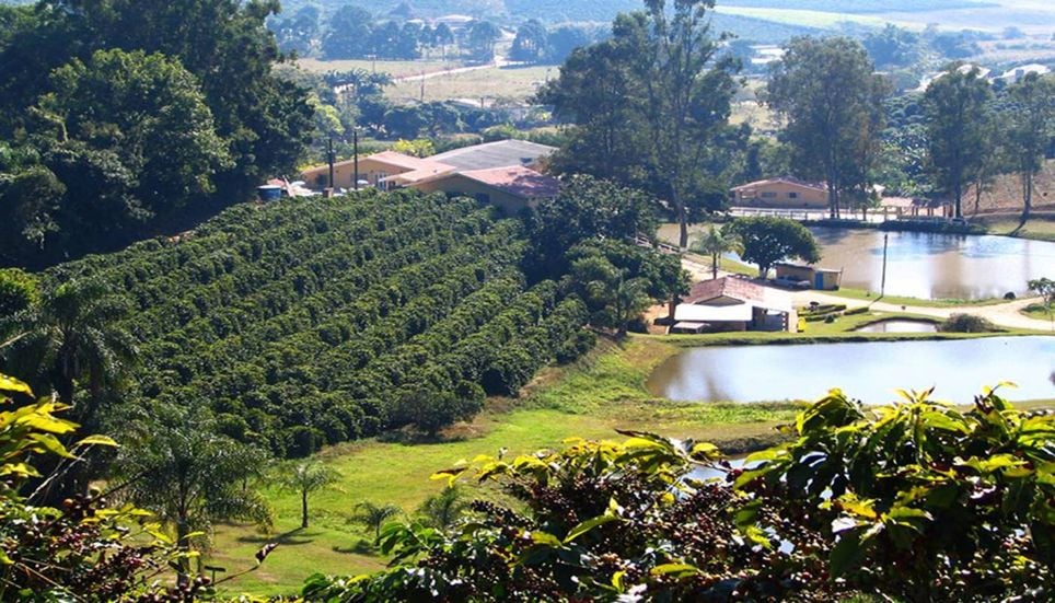 Rota turística do café no interior de SP conecta a bebida com natureza ...
