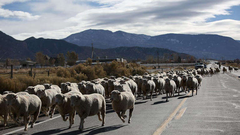 Here are the Intermountain West’s most affordable places to live