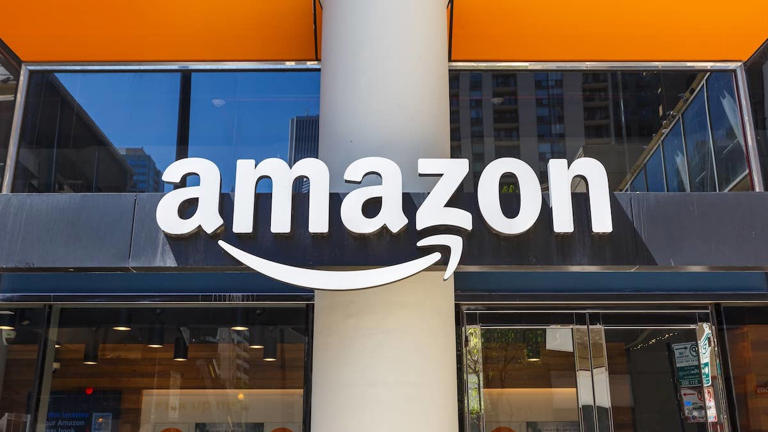 Amazon's 'gorgeous' bird-shaped planter is only $12 — 'absolutely love ...