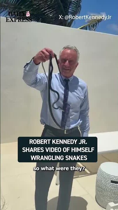 Robert Kennedy Jr. Wrangle Black Racer Snakes