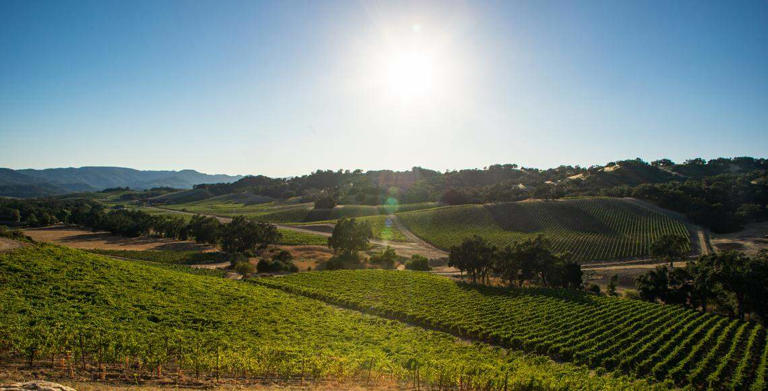 New fee will charge Paso Robles farmers for water they used last year