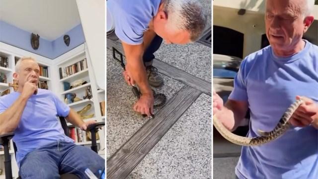 'I'll be back in a flash': RFK Jr. stops meeting to wrangle venomous ...