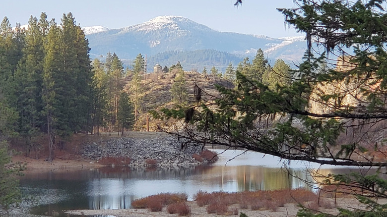Idaho's serene forest is an outdoor adventure haven with scenic trails ...