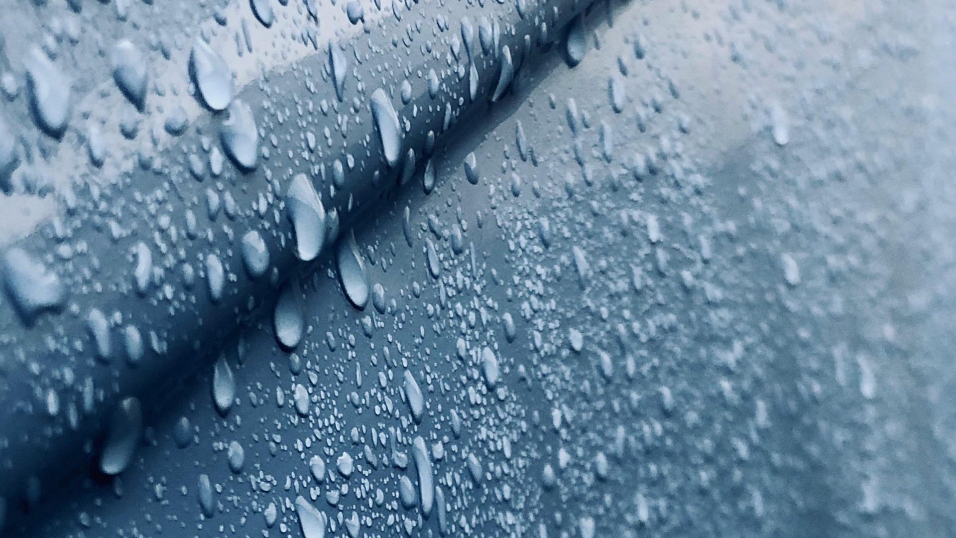 From moist to sixths: 20 English words we just don't like