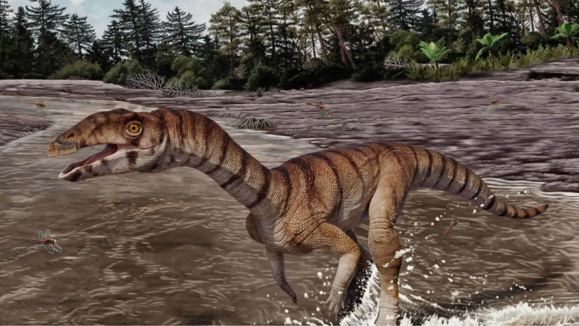 Cientistas descobrem espécie de réptil pré-histórico bípede no Novo México