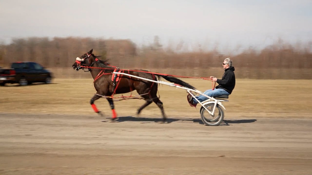 Horse-racing community looks to keep Ottawa's track alive