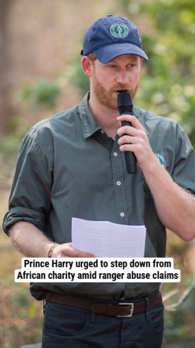 Prince Harry urged to step down from African charity amid ranger abuse ...