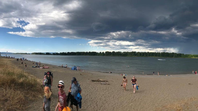 New Sauvie Island beach permit required during holidays and weekends ...