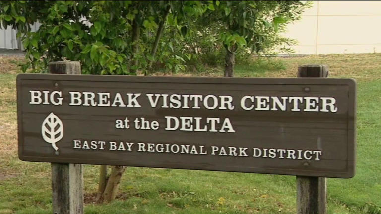 How a classic card game helped decide this East Bay city's name