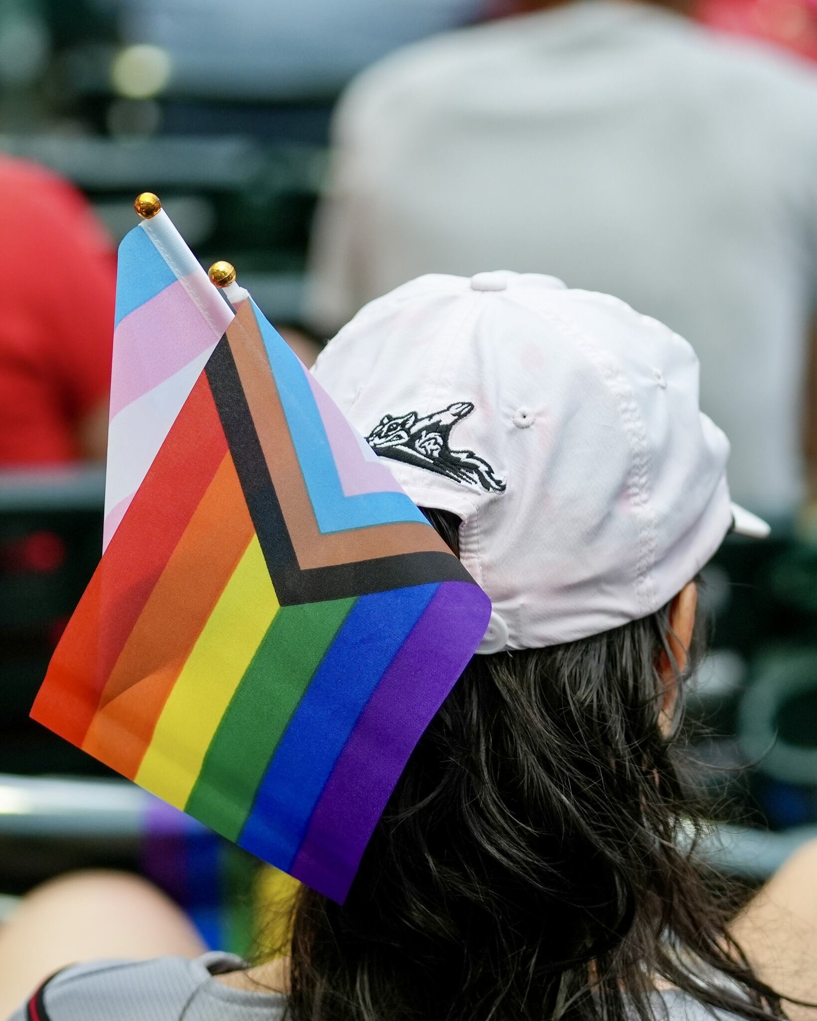 CarMax Park, Flying Squirrels to host first Pride Night