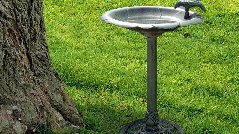 Amazon's 'Beautiful' antique bird bath is an 'attractive addition' to ...