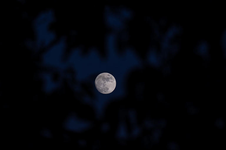 Rare blue moon will appear in the sky this weekend—best places to spot it