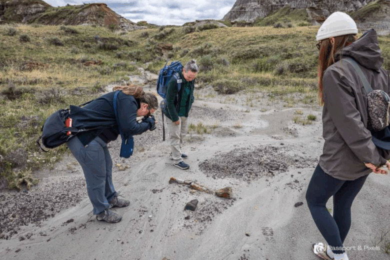 In photos: Where to discover real dinosaur fossils in Canada