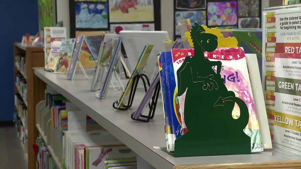 "It's always encouraging literacy": Leon County Public Library holding ...