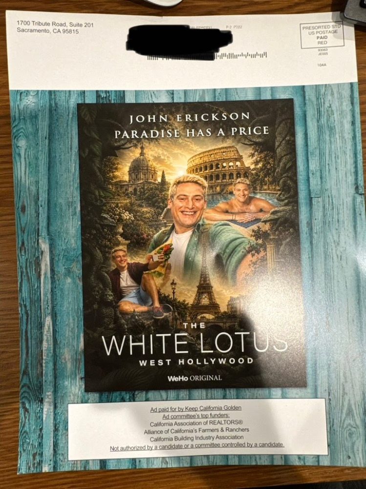 Gay candidate calls out homophobic AI-generated pics in flyers