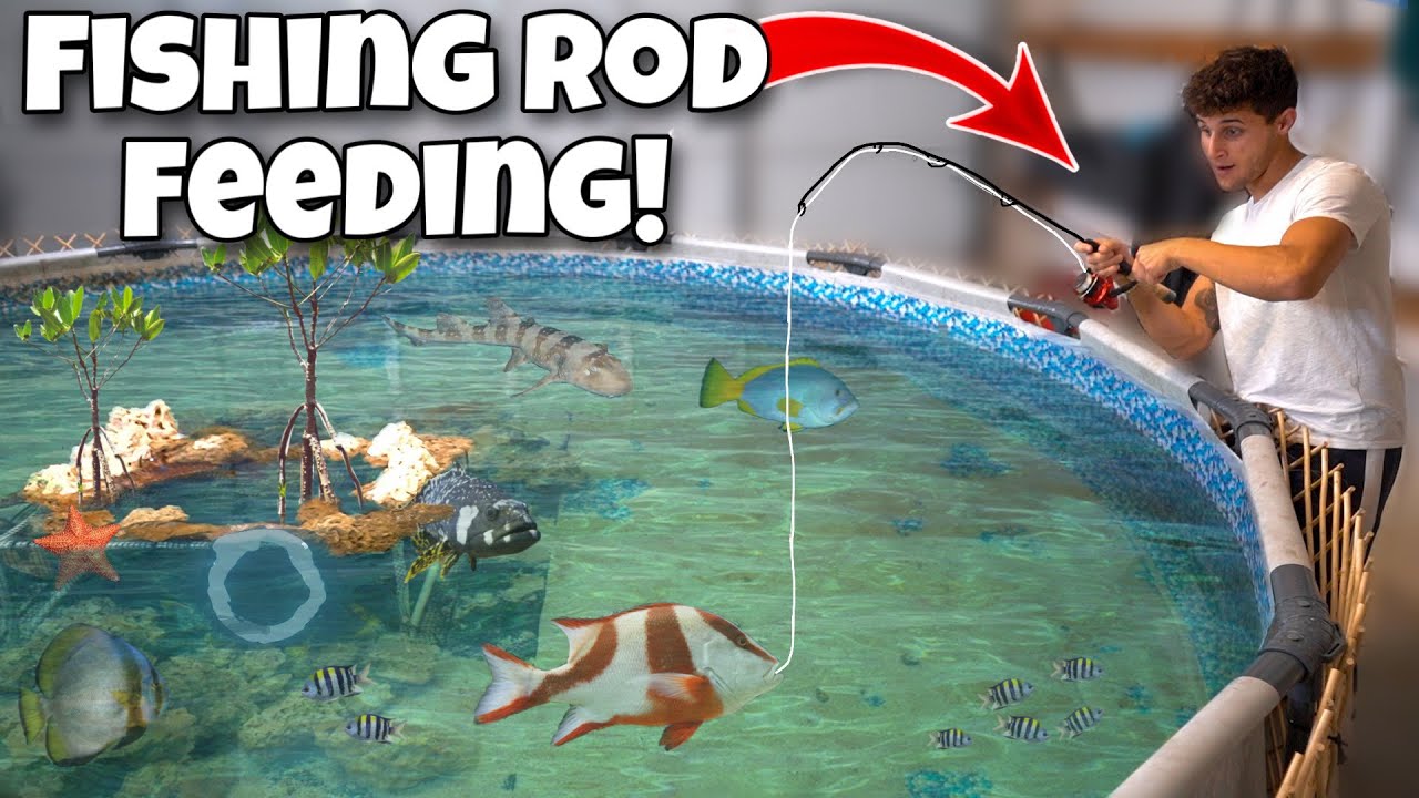 Fishing in my 3000 gallon saltwater pond!