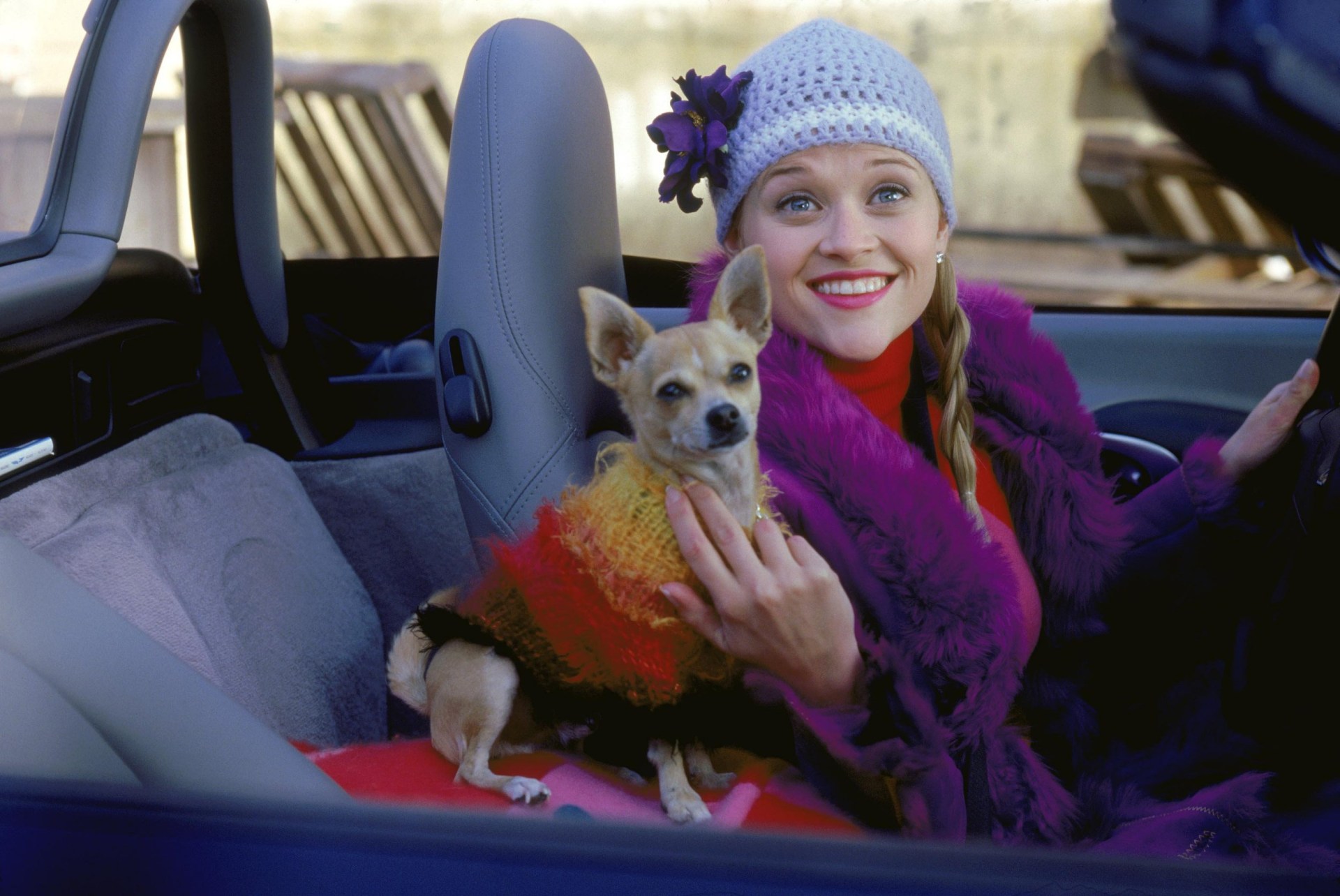 Legally Blonde and the joke which made me laugh for 5 days straight