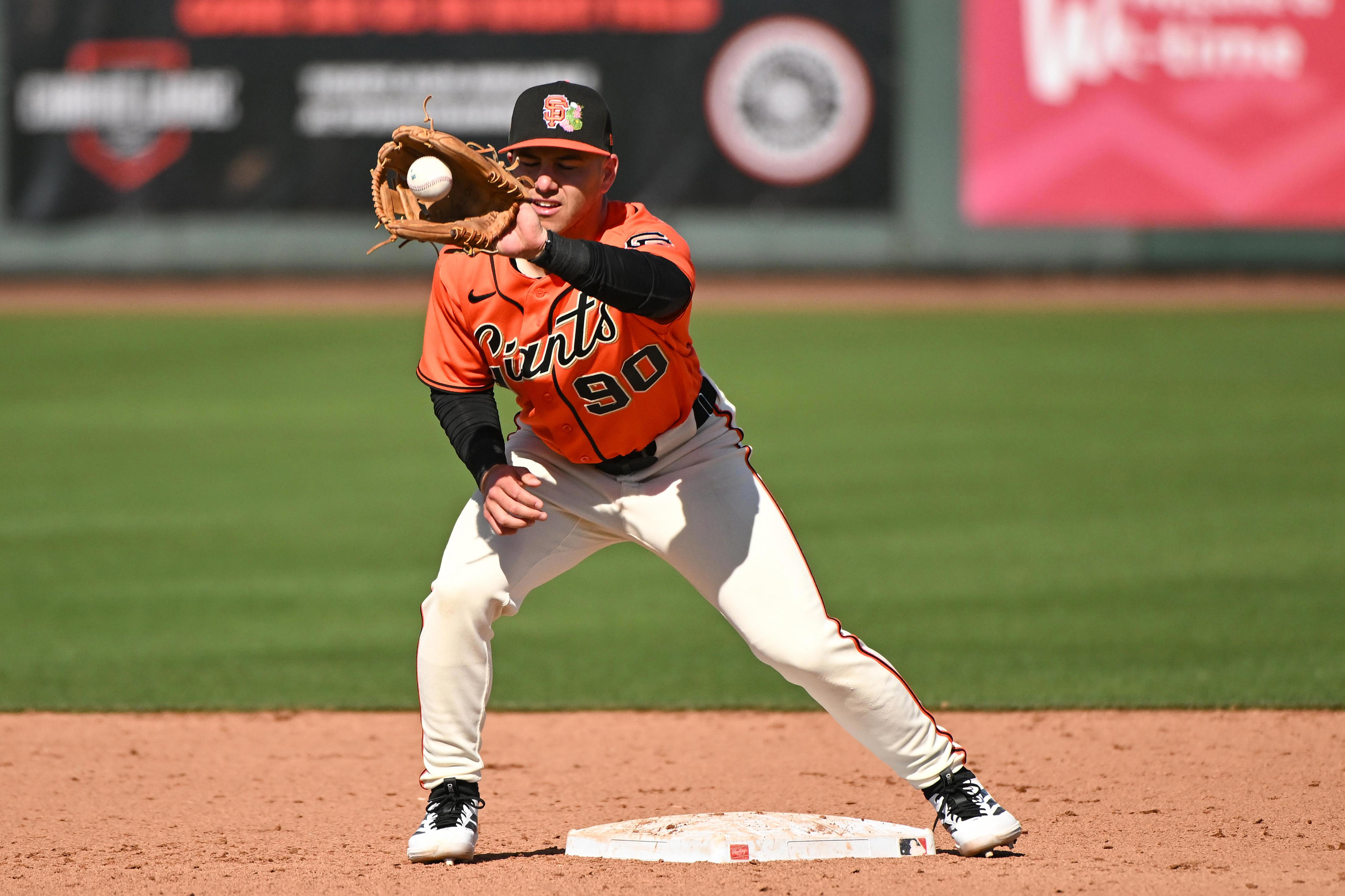 Giants minor league baseball roundup, May 28: Brilliance from Luis ...